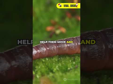 Leech Facts That Will Blow Your Mind!