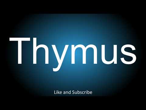 How to correctly pronounce - Thymus