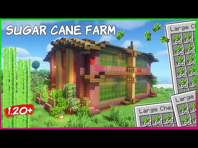 Sugar Cane Farm 1.20 Minecraft Map