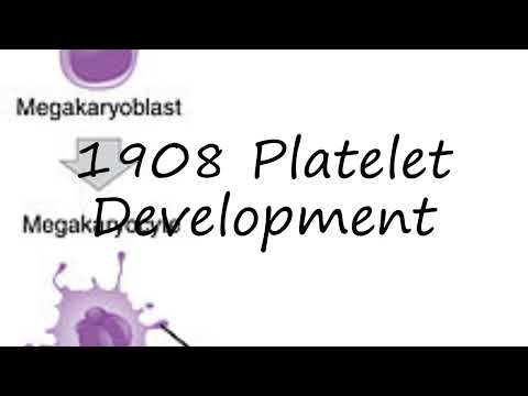 How to pronounce 1908 Platelet Development in English?