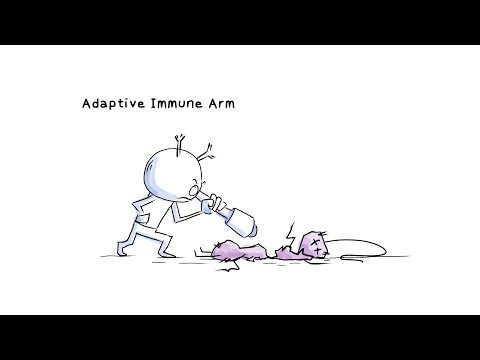 Your Immune System (Part 1)