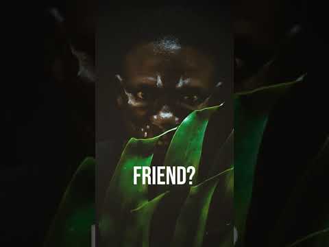 Character Introduction: Bagheera