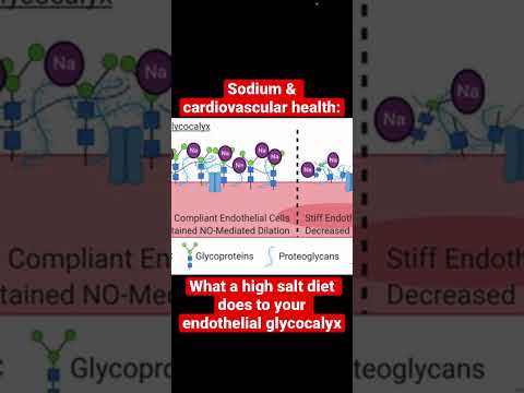 Sodium & cardiovascular health: How a high salt diet damages your endothelial glycocalyx