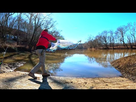 How to find SHAD from the BANK! #shad #catfishbait #castnetfishing