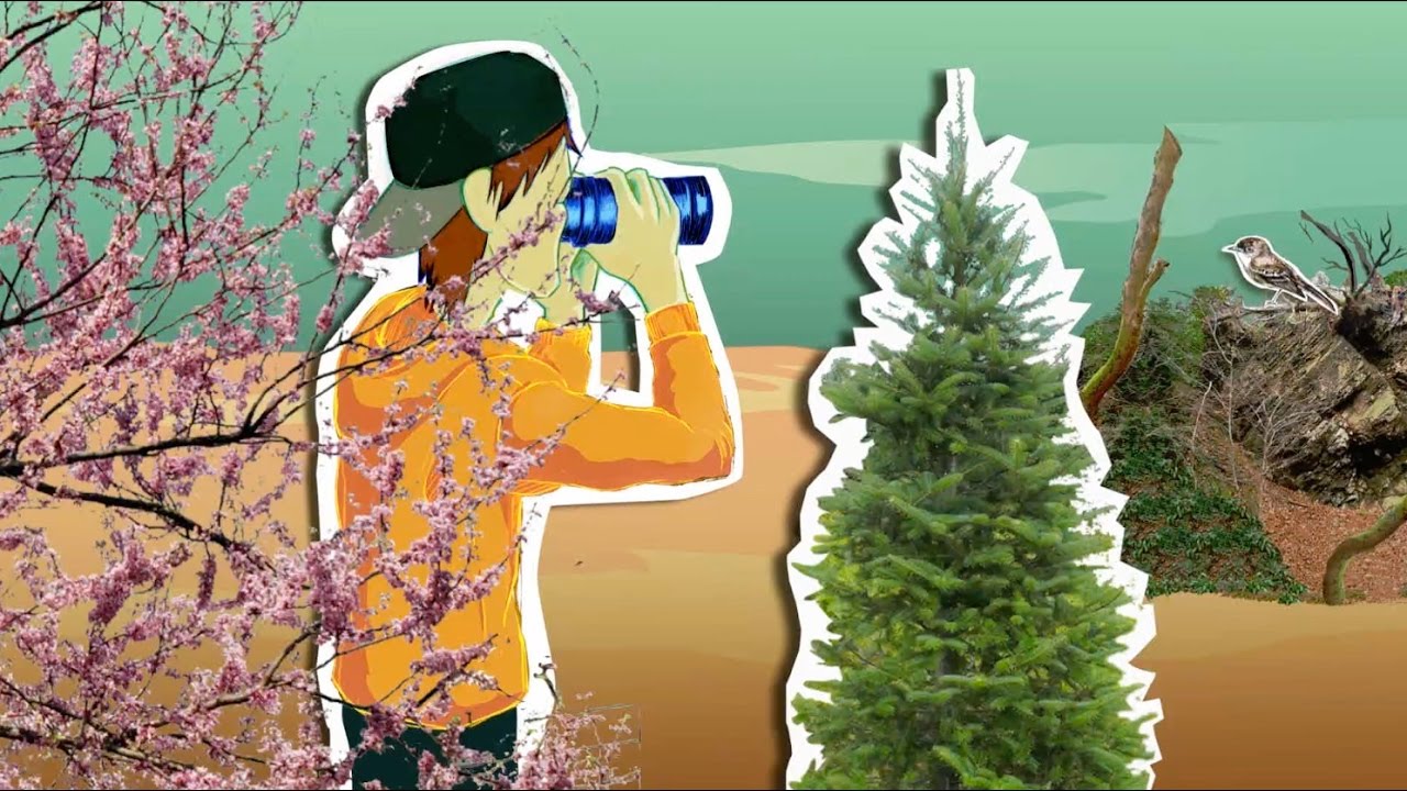 The Process of Science