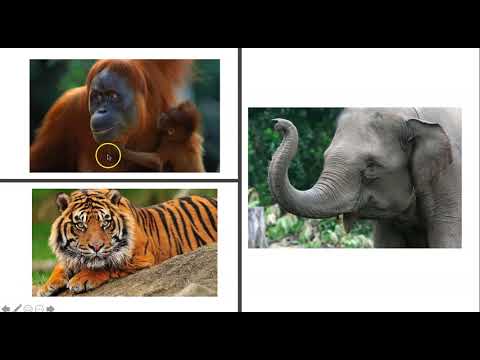 Threats to Biodiversity