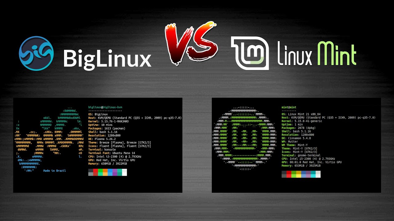BigLinux vs Linux Mint