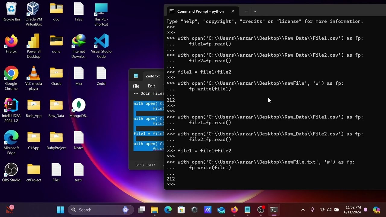How to concatenate files in Python