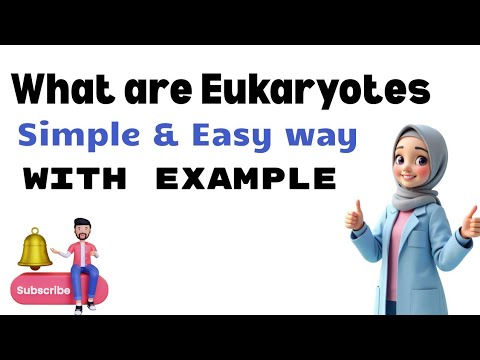 Simple Definition of Eukaryotes with Examples #eukaryotes #biologybasics #bioterms #science