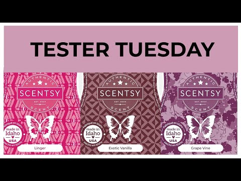 Tester Tuesday Linger, Exotic Vanilla i Grape Vine (Recenzje Scentsy)