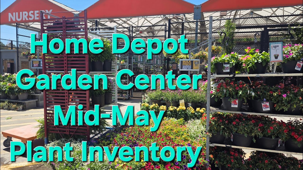 Home Depot Garden Center Mid-May Plant Inventory. Great Colors. Annuals Perennials and Shrubs.GA/8a