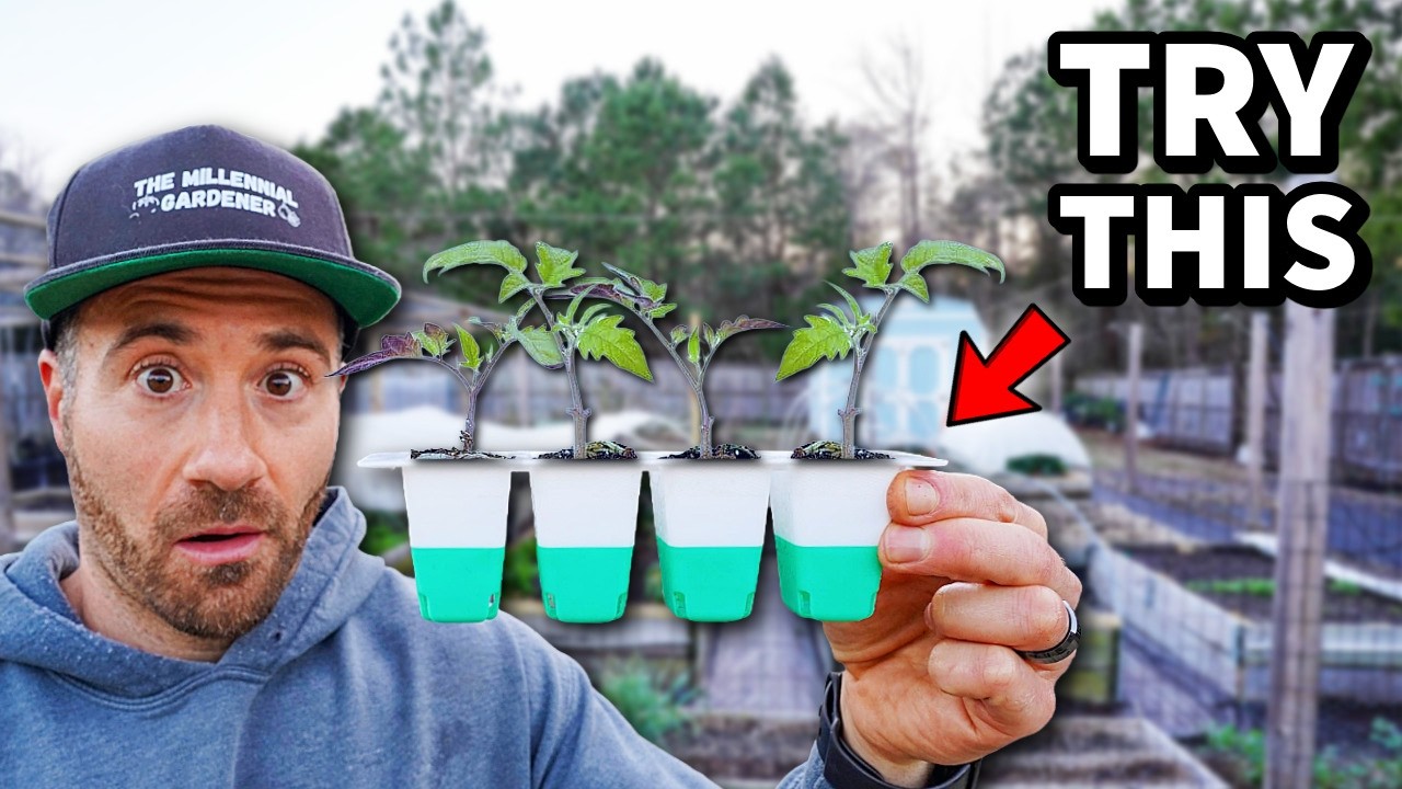 This New Way To Start Seeds Makes Transplanting EASY!
