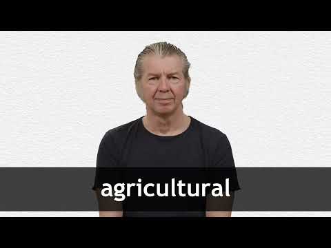 How to pronounce AGRICULTURAL in American English
