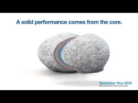 The Solid Core Granule