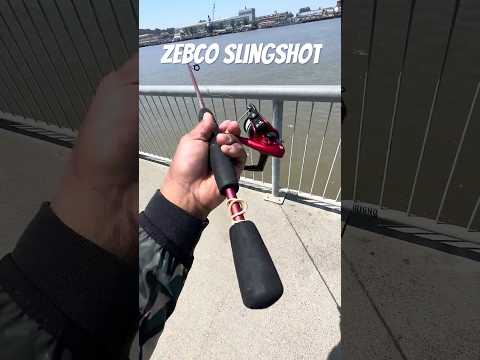 This Isn’t a Toy… It’s a Slingshot Fishing Pole! #short #search