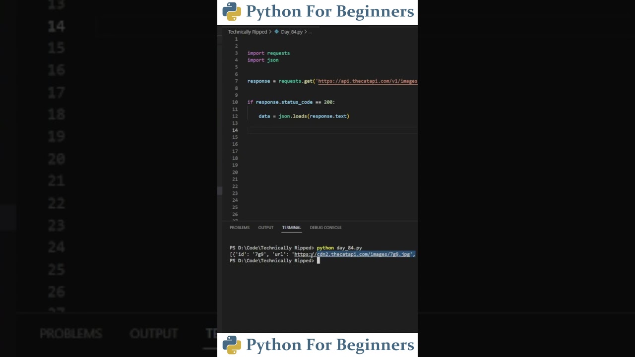 How To Connect To An API With Python | Python For Beginners