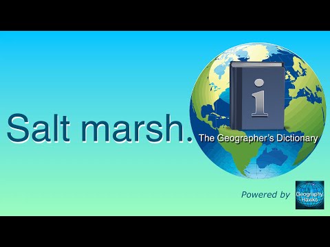 Salt marsh. The Geographer’s Dictionary.