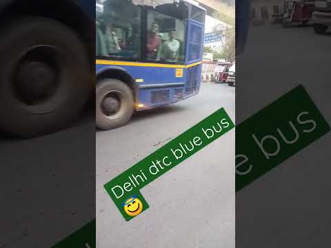 #delhidtcbus #youtubeshort #dtcsolusiqualityservis #viralshort #bluebus