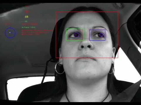 Driver Drowsiness Detection System – Autodespair