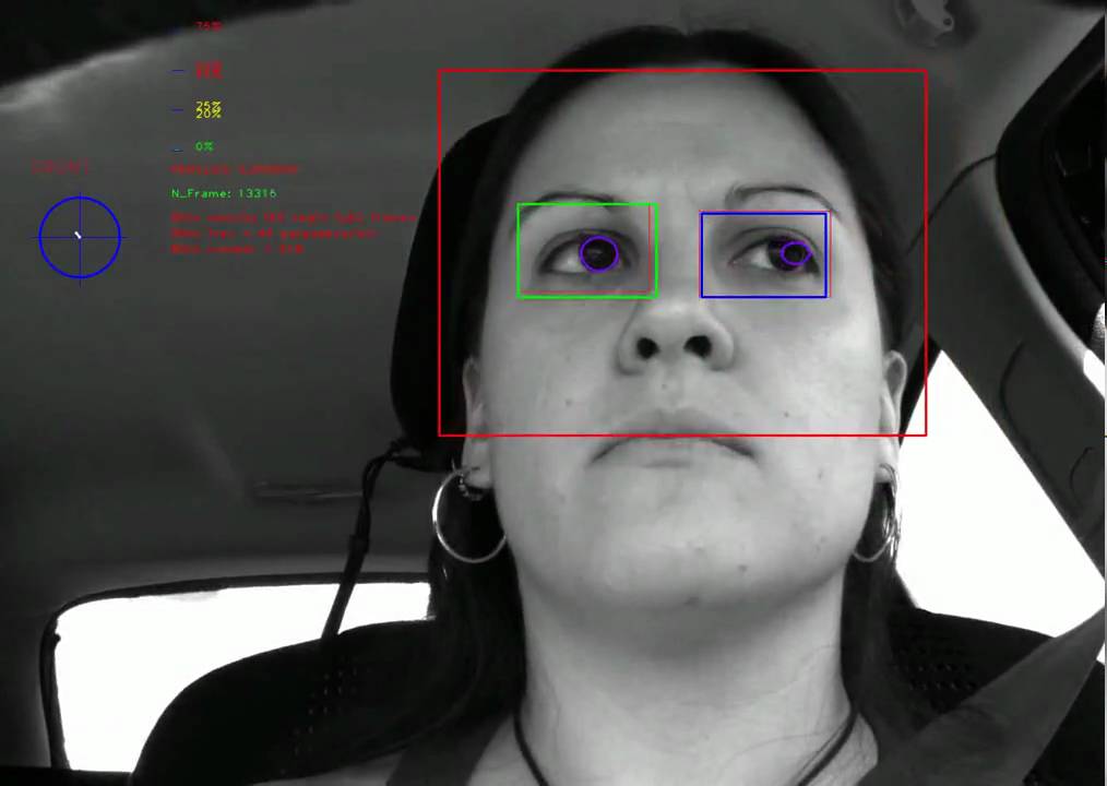 Driver Drowsiness Detection System