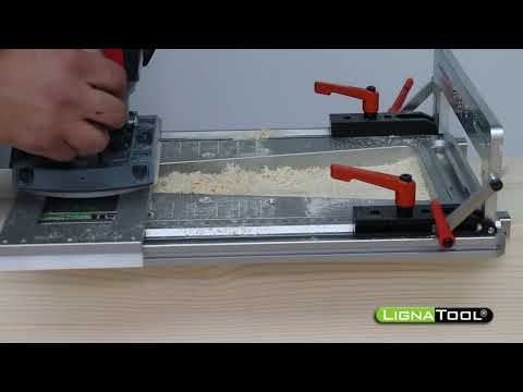 Lignatool® verdeckter Schwalbenschwanz #shorts