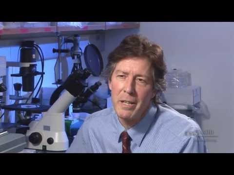Alan Rapraeger on His Motivation for Research