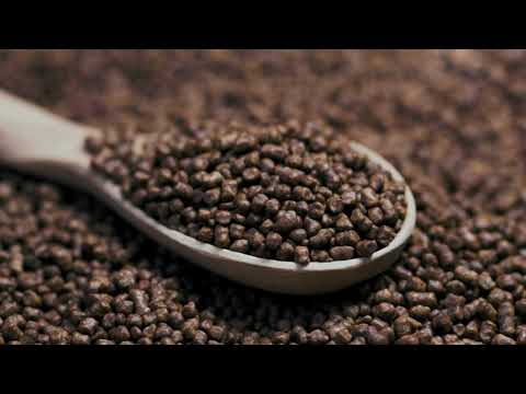 What Is Meant By Tea Dust?