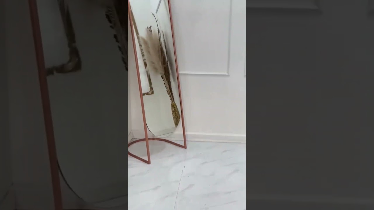 Macaquinho ciganinha plus size