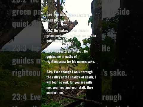 Psalms 23:1-4