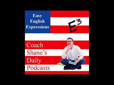 36 Daily Easy English Expression PODCAST - I beg to differ~