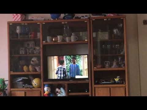 Young Leo vs Adult Leo | Sydney To The Max