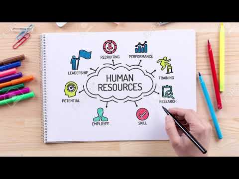 All about Human resources