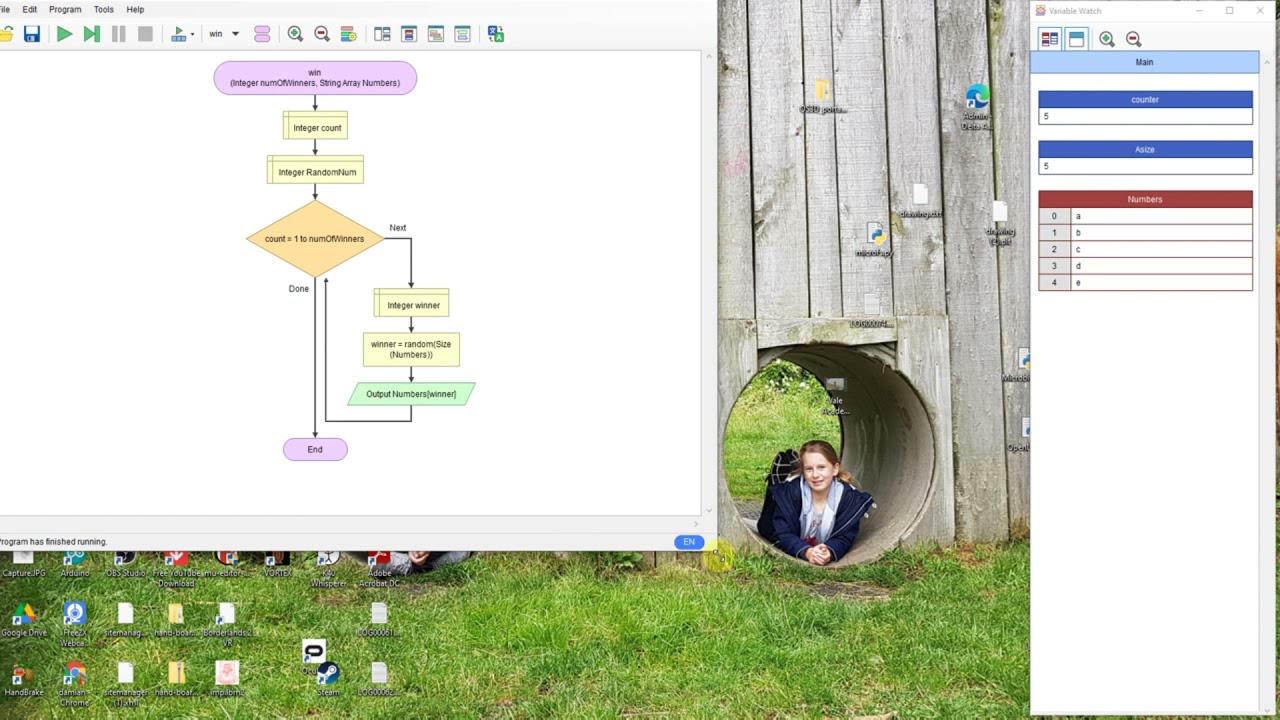 Flowgorithm - Lottery/Lotto Assignment