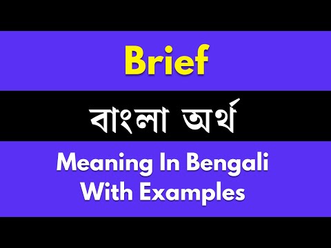 Brief Meaning In Bengali/Brief শব্দের বাংলা ভাষায় অর্থ অথবা মানে কি
