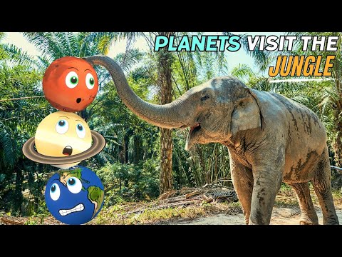 The Solar System Planets visit a Jungle! Learning about S...