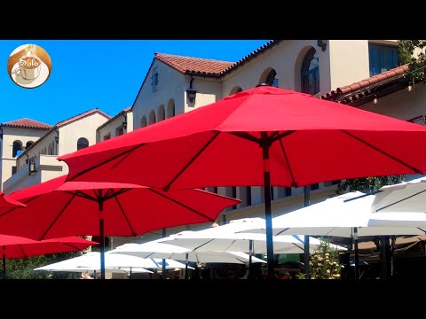 Coupa Cafe, Ramona, Palo Alto | Solo Coffee US