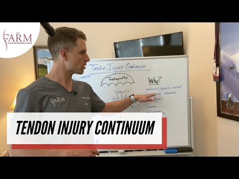 Tendinitis or Tendinosis? The Tendon Injury Continuum