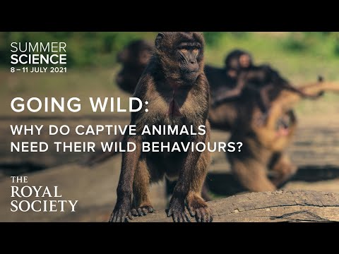 Why animals behave differently in zoos and in the wild with Dr Jackie Chappell