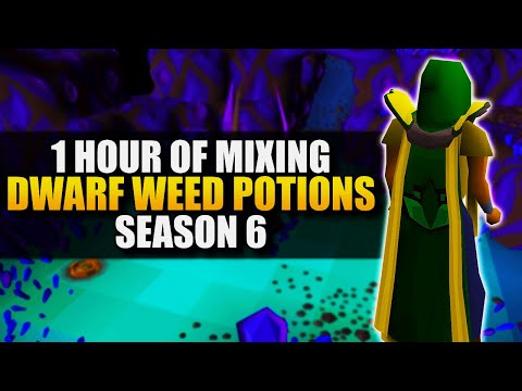 Mixing Dwarf Weed Potions (unf) | Testing OSRS Wiki Money Making Methods | Money Making Guide 2022