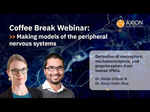 Making Models of the Peripheral Nervous System - Sensory Neurons to Human IPSCs