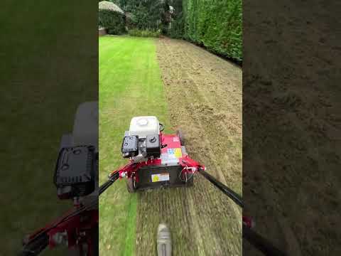 Camon ls42 scarifier #garden #scarifier #lawncare