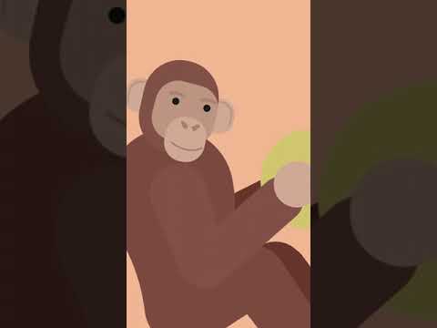 SCP-055 - Anti Meme (SCP Animation)