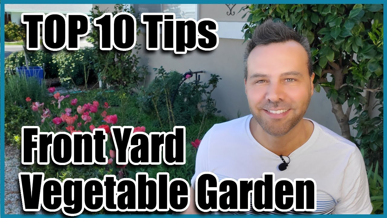 Top 10 Tips to Start Your Front Yard Vegetable Garden (Edible Landscaping)