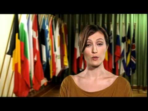 EU Two-Speed Europe - a definition
