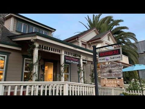 Barbieri Kempe Wines, Los Olivos, California - 60 Sec Tour - Wine, Cheese & Fresh Baguettes #shorts