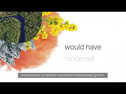 World Ozone Day 2024 Campaign Video (EN)