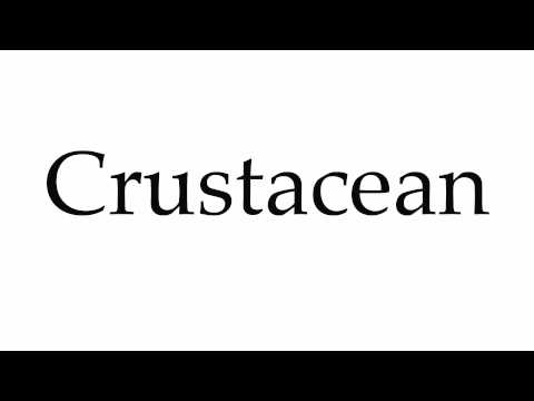 How to Pronounce Crustacean