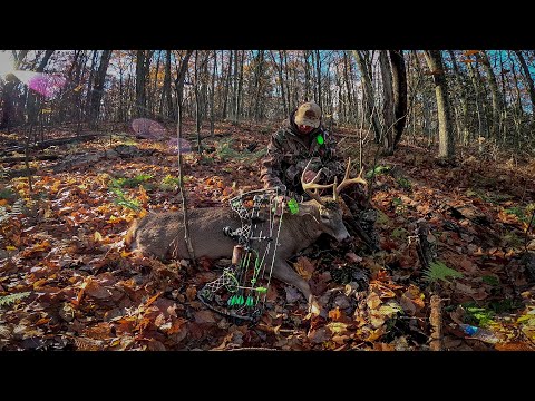 20 Shots In Under 5 Minutes, PA Hunting 2024 #pahunting #archery #bowhunting #deer #archeryhunter