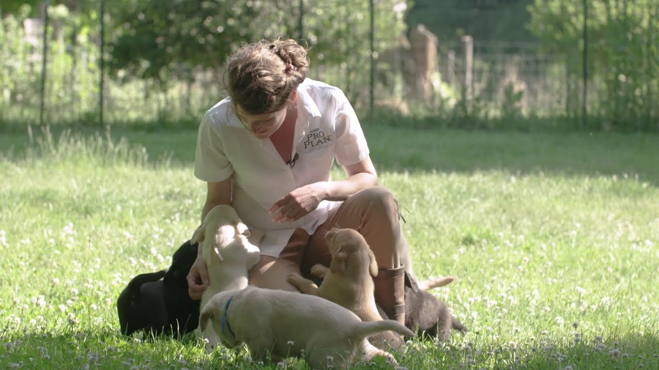 Je suis... éleveuse de chiens