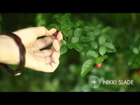 Nikki Slade - Kali Durge